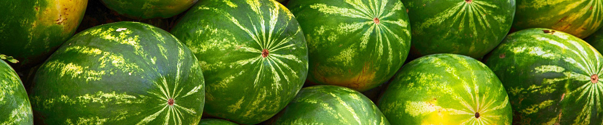 Watermelons - Amaltheia Yada P.C.
